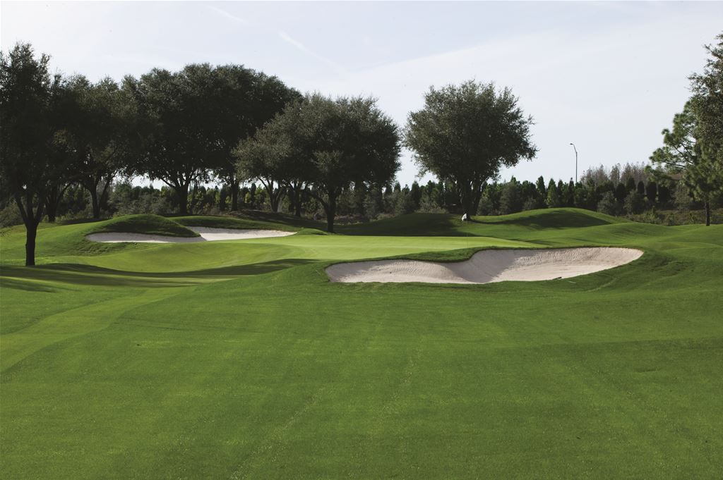 Innisbrook Resort Copperhead | Palm Harbor Fl | Tampa Golf Vacation