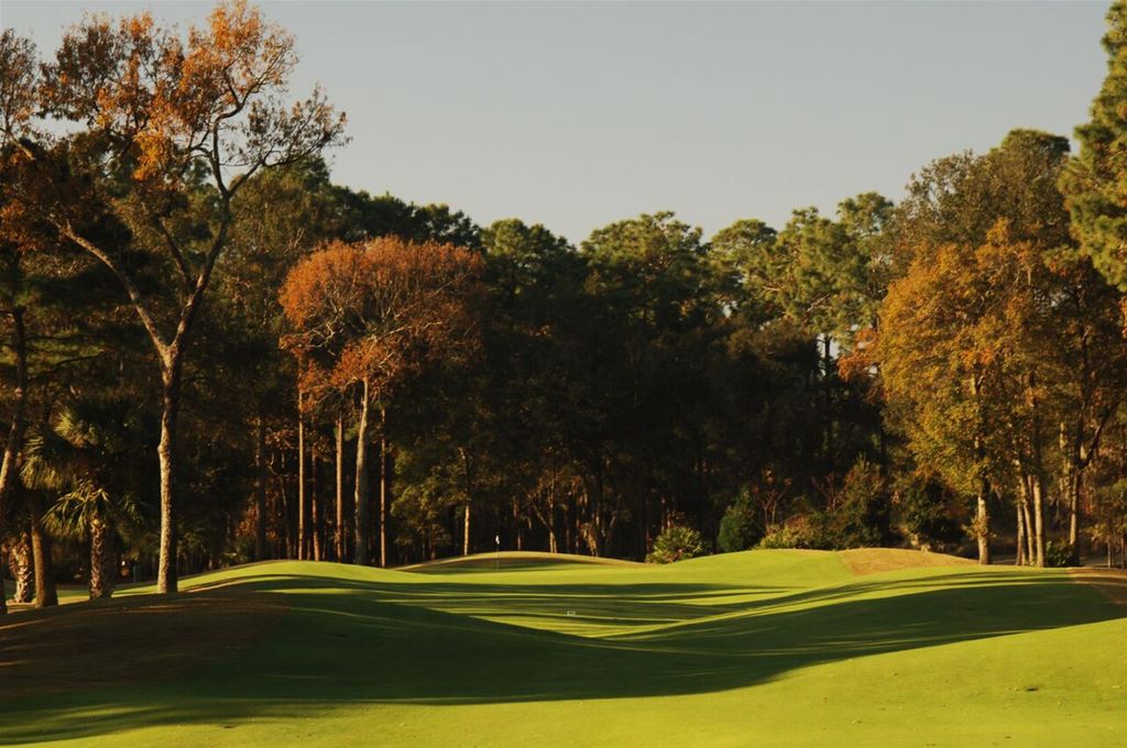 Hilton Head National Golf Course | Hilton Head golf course | Hilton ...