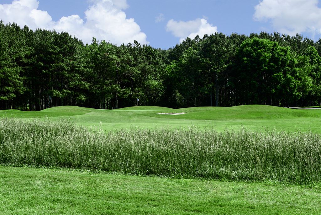 Nob North Golf Course Cohutta Georgia | Georgia Golf Packages
